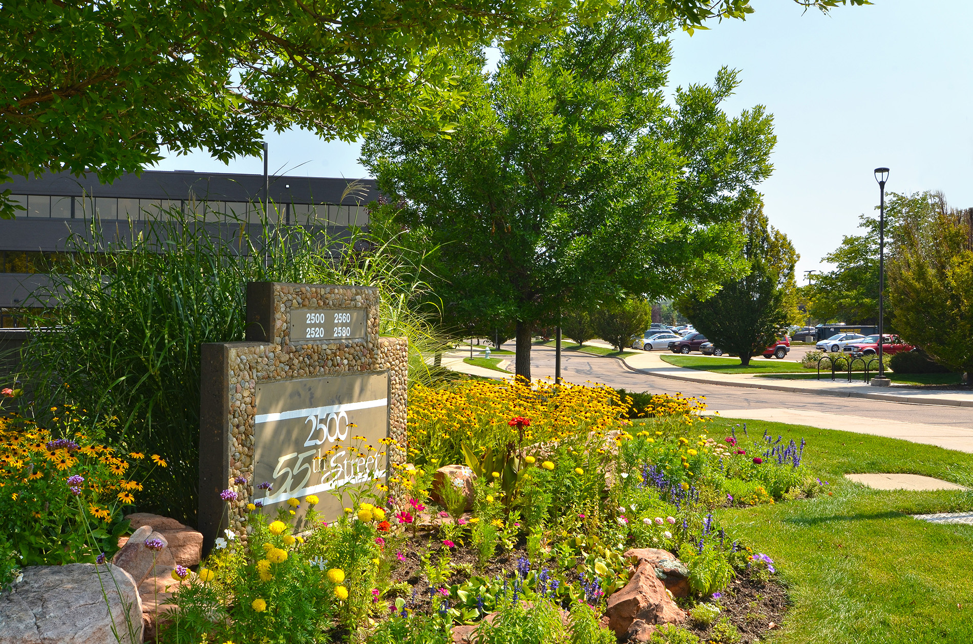 Contact Us - Mesa Landscape Management